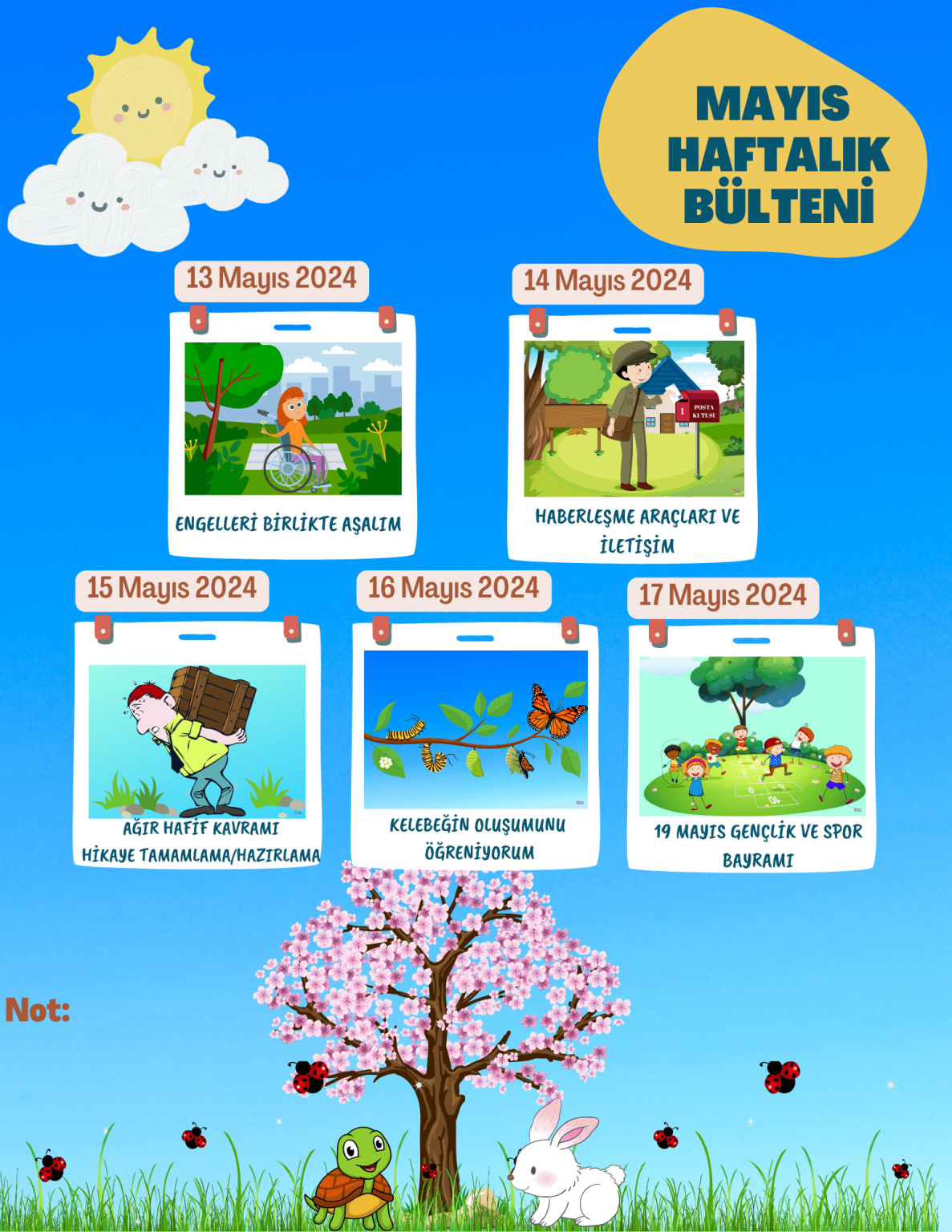 Mayıs Aylık ve Haftalık Bülten - Annenin Okulu